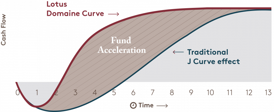 The Lotus Domaine Effect: Our Investment Strategy